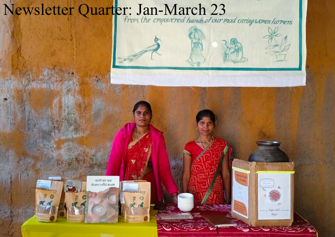 Seva Mandir Newsletter – The Miracle of Millets | Seva Mandir